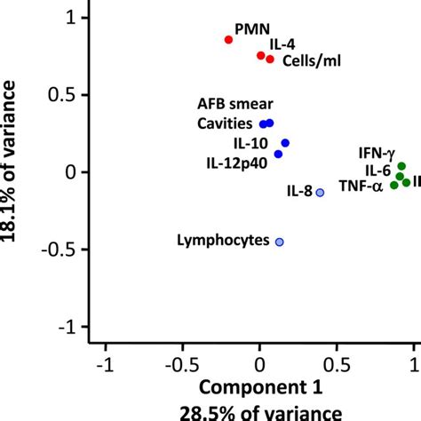 Principal Component Analysis Component 1 Explains 285 Of Variance And Download Scientific