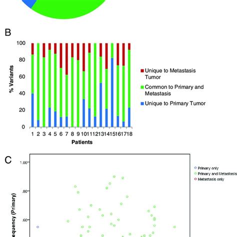 Distribution Of Variants Across The 18 Patients A Pie Chart And B