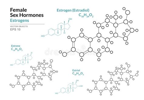 Estrogens Estradiol Estrone Estriol Female Sex Hormones Structural