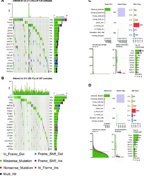 Differential Analysis Of Somatic Mutations A B The Top 20 Highly