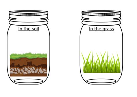 Sorting Minibeast Habitats Activity Teaching Resources