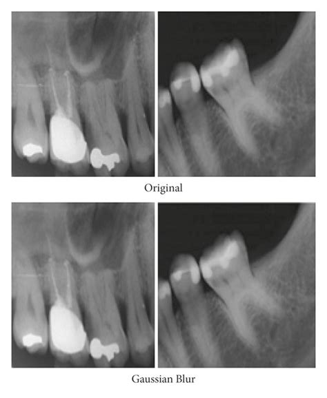 Original Images And Images After Filtering By Gaussian Blur Filters Download Scientific Diagram