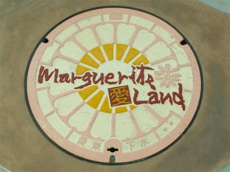 旧愛東町滋賀県 マンホールの蓋調査隊