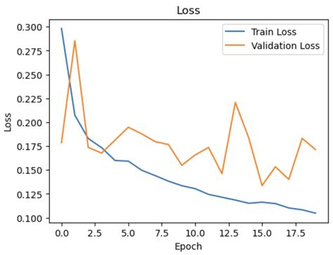 Flamevit Wildfire Detection Through Vision Transformers For Enhanced