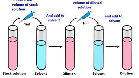What Is Serial Dilution Method And How To Calculate Science Query