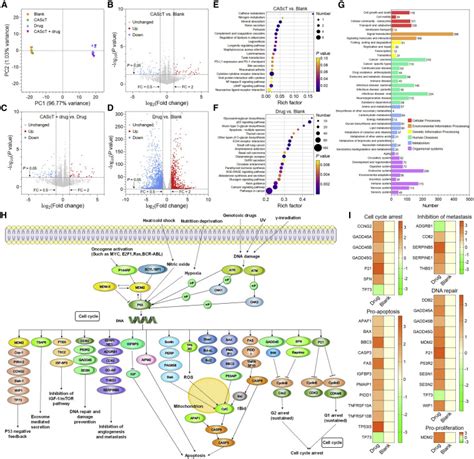 Ai Aided High Throughput Profiling Of Single Cell Migration And Proliferation On Addressable