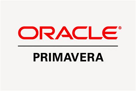 Primavera Initiation Ams Training