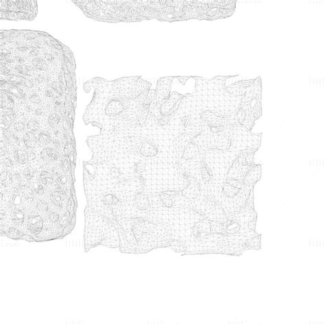 Bone Sponge Structure Bundle 3d Model