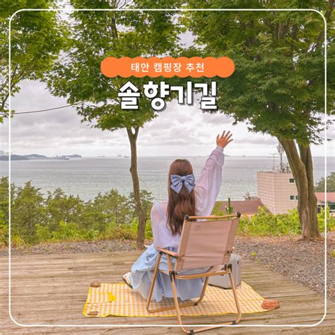 태안 캠핑장 추천 애견 꾸지나무골 솔향기길캠핑장 차박 가능 예약 네이버 블로그