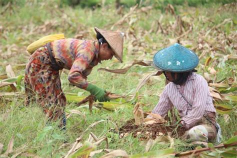 စာရွက်စာတမ်း အထောက်အထားစုံလင်စွာ တင်ပြပါက တပ်သိမ်းမြေပြသနာများကို ဖြေရှင်းပေးသွားမည်ဟု စစ်ကောင