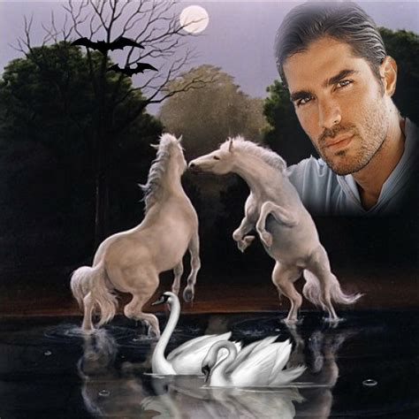 Nette S Fractals And Abstract Art Fantasy Frame Abstract Art Colorful Nette Abstract Art