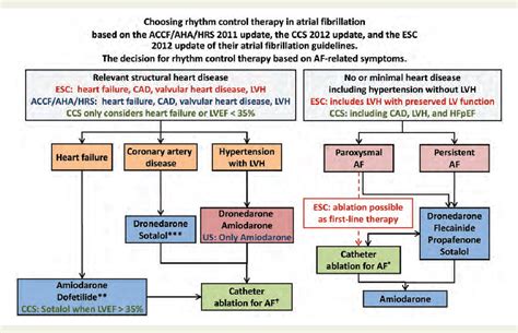 Figure 2 From Atrial Fibrillation Guidelines Across The Atlantic A Comparison Of The Current
