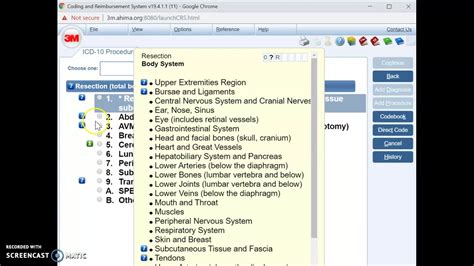 Describe An Encoder For Medical Coding