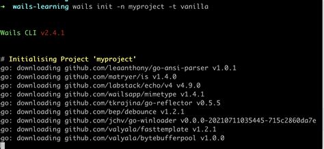 Wails 基于golang 的跨平台开发解决方案 荣锋亮 博客园 Wails 基于golang 的跨平台开发解决方案 荣锋亮 博客园