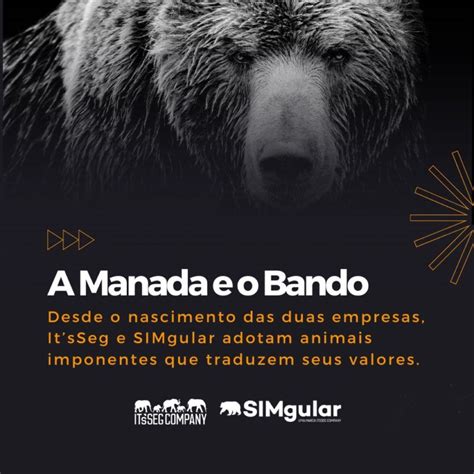 As Sinergias Entre A Simgular E A Itsseg Company Vão Muito Além Dos Ganhos De Entregas Em As Sinergias Entre A Simgular E A Itsseg Company Vão Muito Além Dos Ganhos De Entregas Em