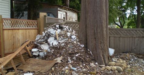 Tree Reality Protect Trees During Construction