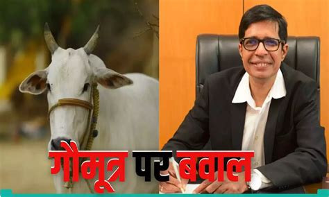 गौमूत्र को लेकर फिर बवाल Iit मद्रास के डायरेक्टर के बयान पर क्यों