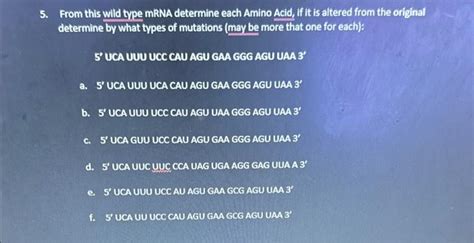 Solved 5 From This Wild Type Mrna Determine Each Amino