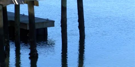 South Carolina Department Of Health Releases Data On PFAS Sampling Project In Private Wells