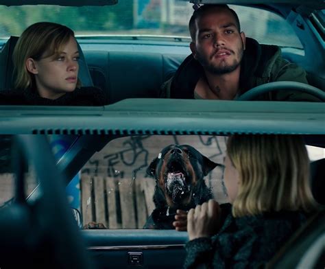 საუკეთესო საშინელებათა ფილმები თავს უშველეთ 30 დღიანი ღამე იწყება D Facebook