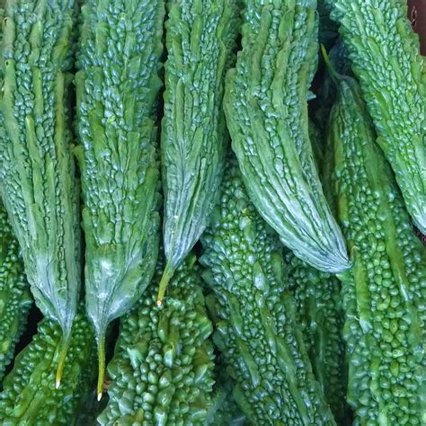 Karela Know About Nutrition Value And Health Benefits