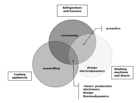 Overlap Of Technological Innovation Capabilities Download Scientific