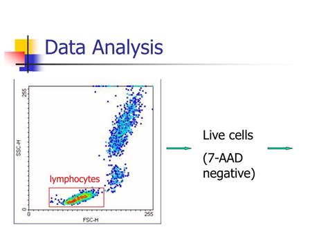 Ppt Immunology Assays For Clinical Research Powerpoint Presentation
