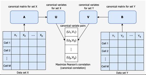 Cca For Finding Relationships Between Different Cell Level Variables In
