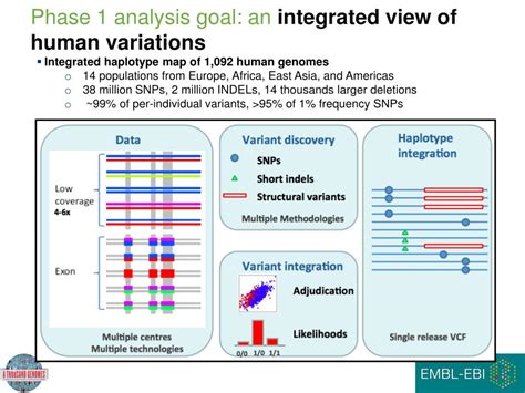 Ppt The 1000 Genomes Project The Phase 1 Variant Set And Future