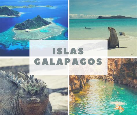 Islas Galápagos Patrimonio Natural Del Ecuador
