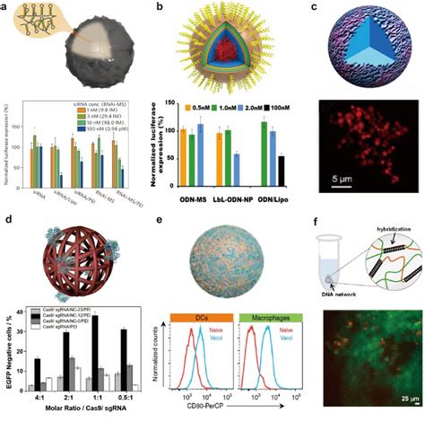 Examples Of Applications Involving Rcarct‐derived Nucleic Acid