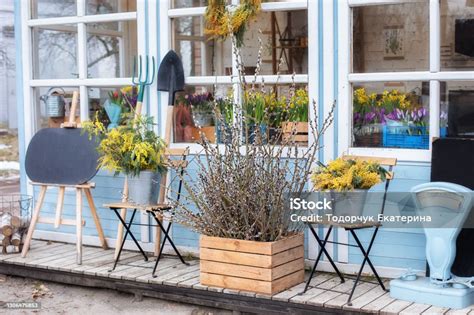 식물과 가지 노란색 미모사 와 집의 나무 현관 정원 도구 냄비 꽃과 외관 집 아늑한 봄 장식 베란다 원예 개념 의자가있는 여름 베란다 부활절 장식 홈 야외에 대한 스톡 사진