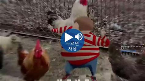 우왁굳다이 진희 반응 치지직 에펨코리아