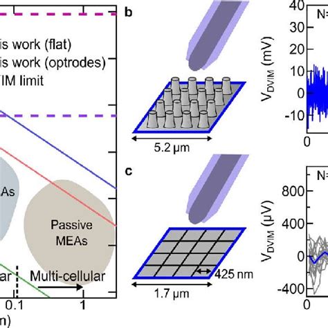 Comparison To Existing Neuronal Voltage Imaging Technology And Download Scientific Diagram