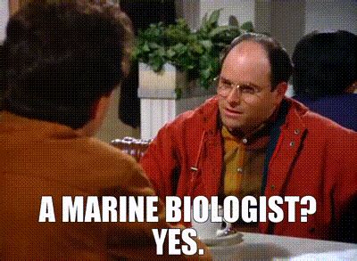 Yarn A Marine Biologist Yes Seinfeld 1993 S05e14 The