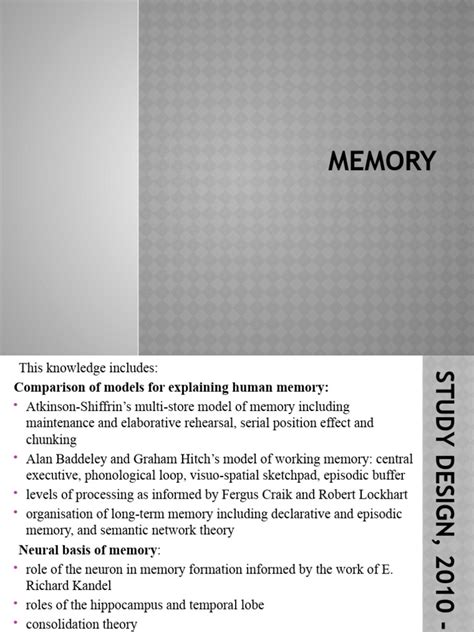memory 2 pdf memory long term memory