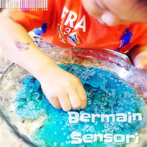 Diy Imc Seedy Flubby Jelly Indonesiamontessori Com