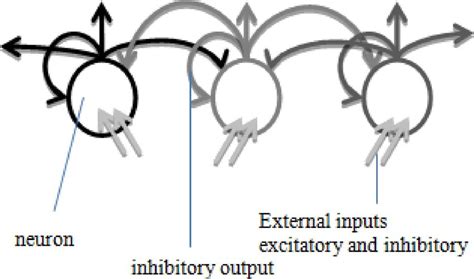 A Horizontal Cut Of An Impulse Neural Network Download Scientific