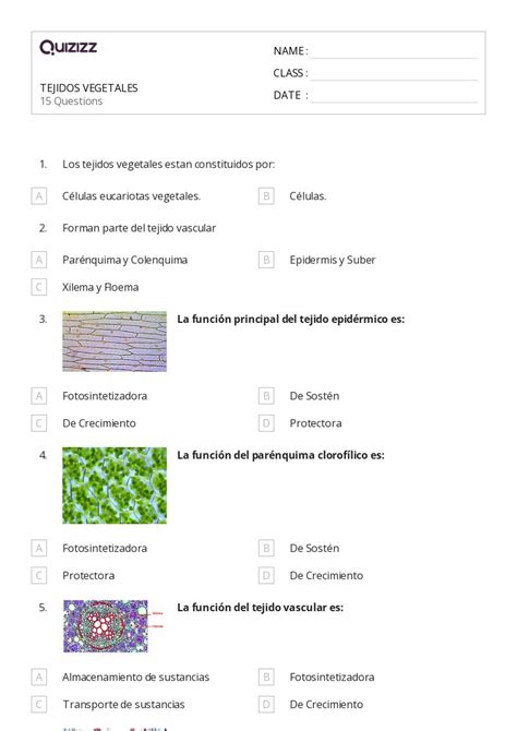 50 Tejidos Hojas De Trabajo En Quizizz Gratis E Imprimible