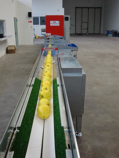 Apple Grading And Sorting Machines Futura S R L Dot B