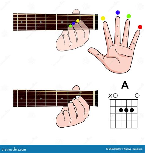 guitar chords basic strings at sophia goldman blog