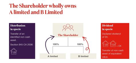 Understanding Company Dividends A Comprehensive Overview Moore Barlow LLP