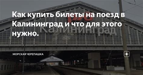 Как купить билеты на поезд в Калининград и что для этого нужно Морская черепашка Дзен
