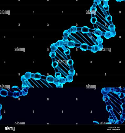 Dna Molecule Computer Artwork Showing A Double Stranded Dna Deoxyribonucleic Acid Molecule