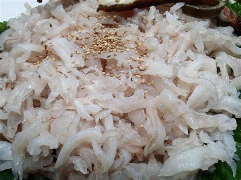 가격 대폭 인하 세꼬시 울진죽변항미주구리회 물가자미회 500g 4 5인분 미주구리 물가자미 회 500g내외 ㄴ