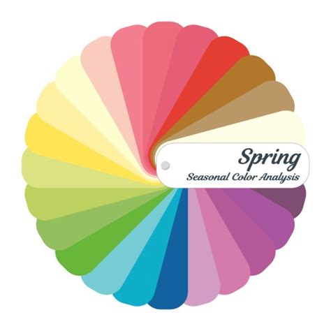 Analysis Color Palette Vector Images Over 1 500