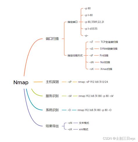 Nmap使用教程图文教程（超详细） Csdn博客