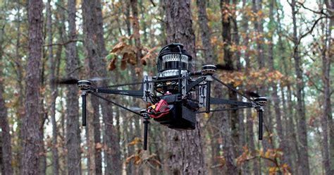 A Drone That Counts Trees Revista Pesquisa Fapesp
