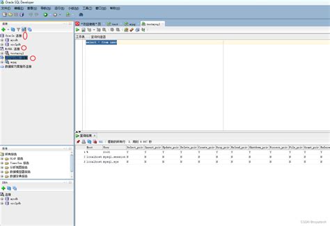 通过sqldeveloper访问pgpostgresql 4273jar Csdn博客