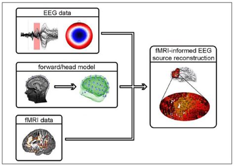 Simultaneous Eeg Fmri What Have We Learned And What Does The Future Hold